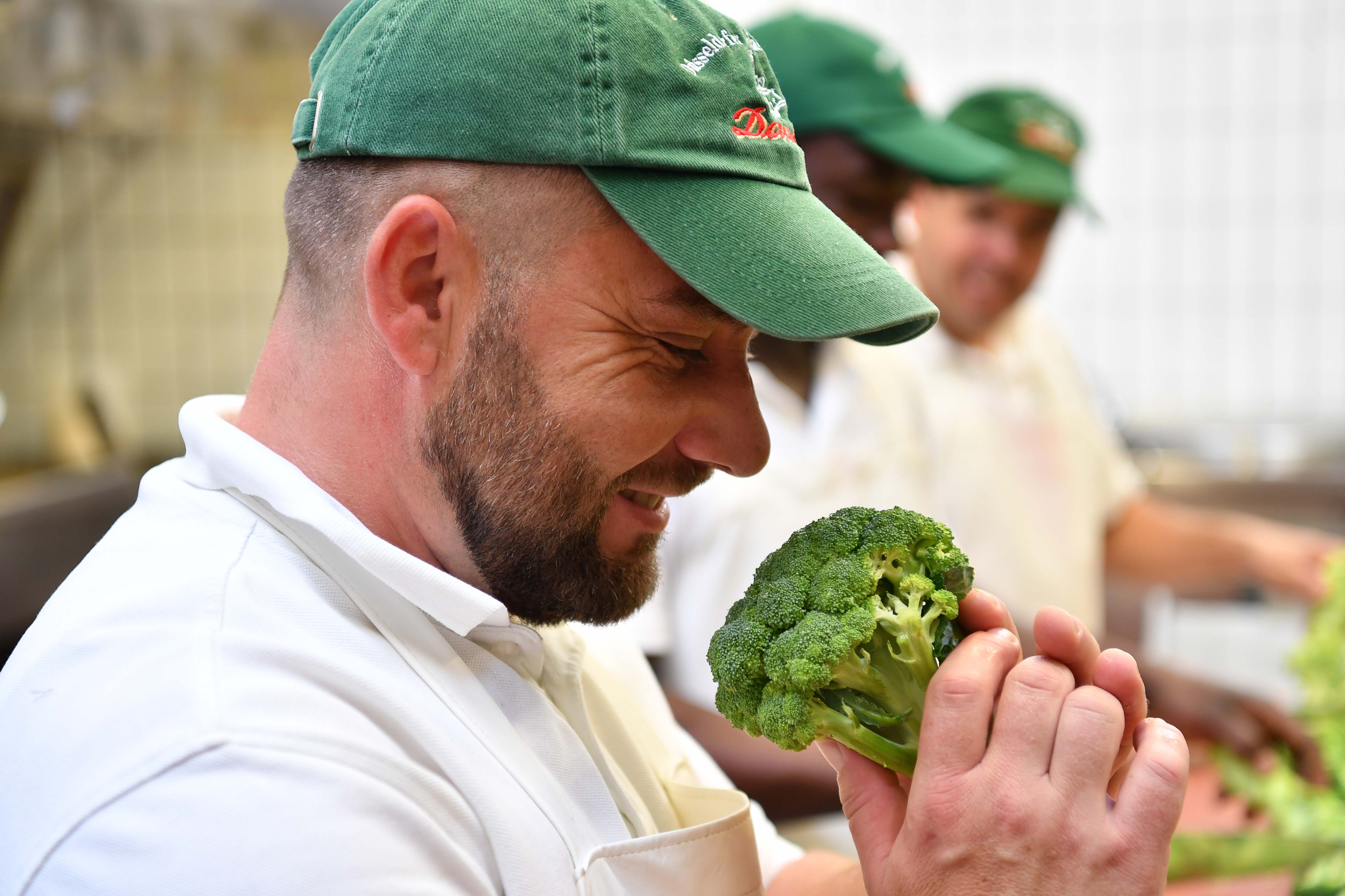 Dauser Bildergalerie - Dauser